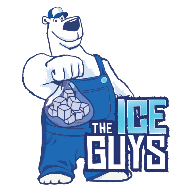 8lb Cube ICE – The Ice Guys